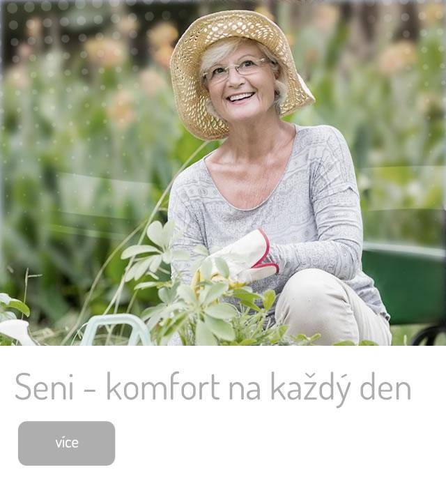 Home - Seni